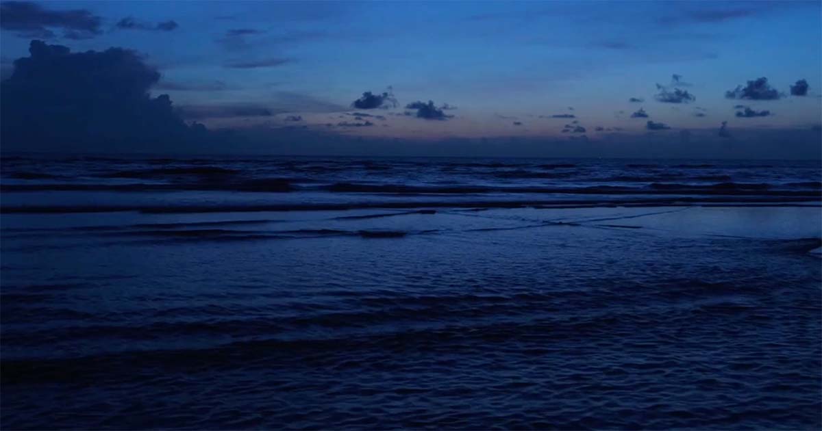 Professional Online Training Program – Compassionate Inquiry