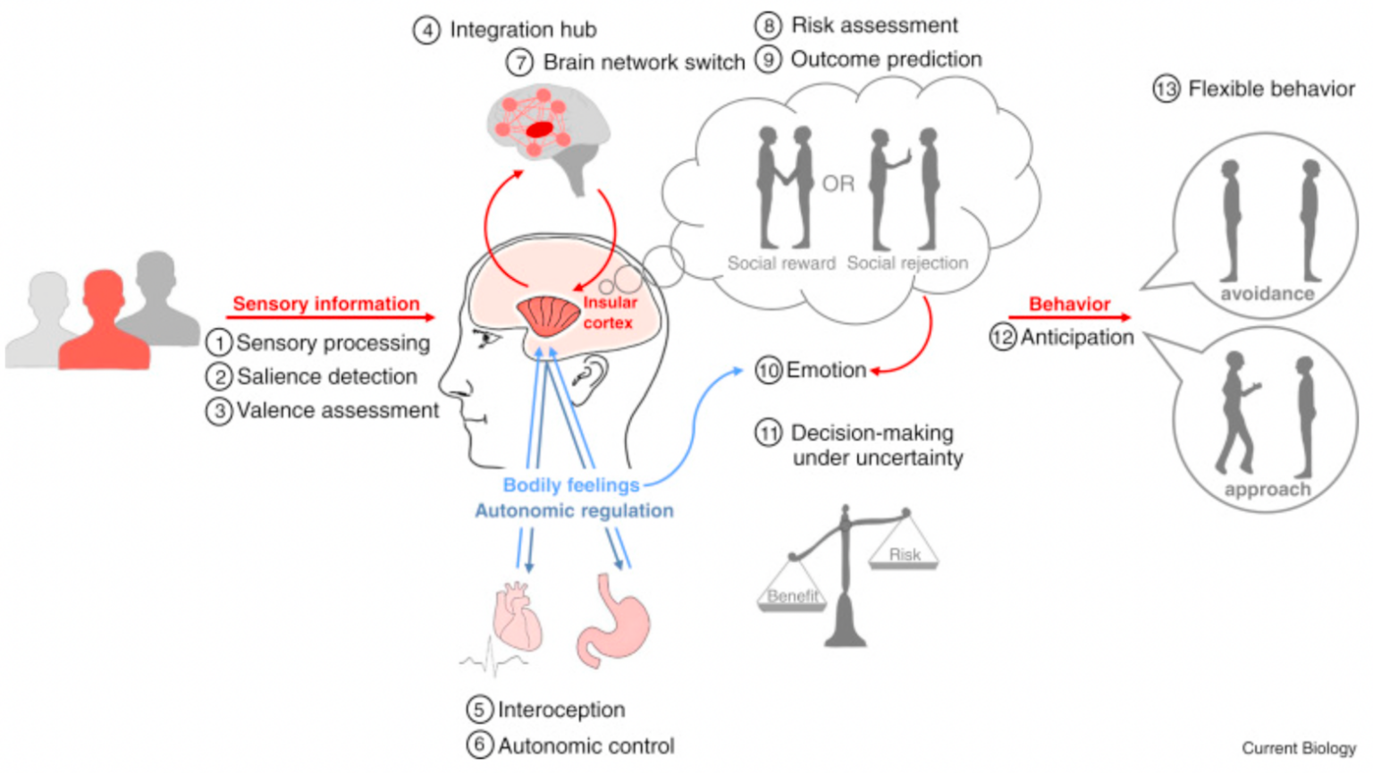 Gut Feelings and Embodied Awareness